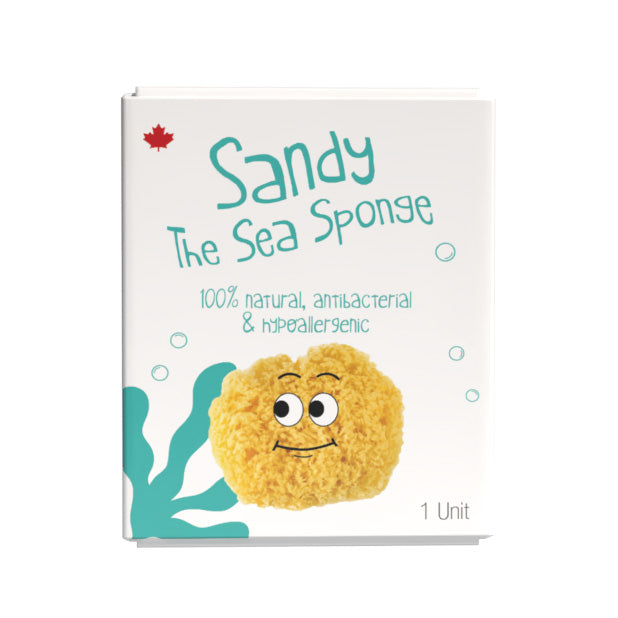 Sandy The Sea Sponge - 100% Natural Kids' Bath Sponge from Crete – Loot ...